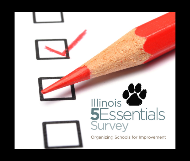 Beardstown CUSD 15 - 5 Essentials Survey